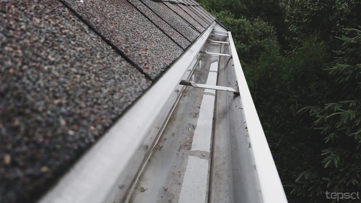 5 Dicas Para Limpar o Seu Algeroz - Tepsol