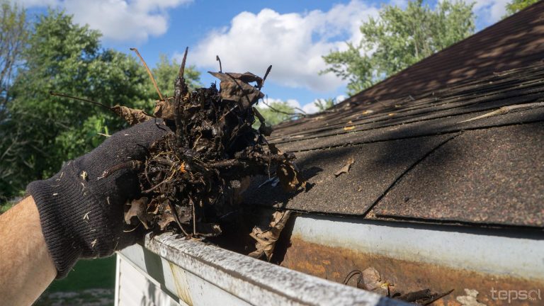 5 dicas para limpar o seu algeroz - Tepsol